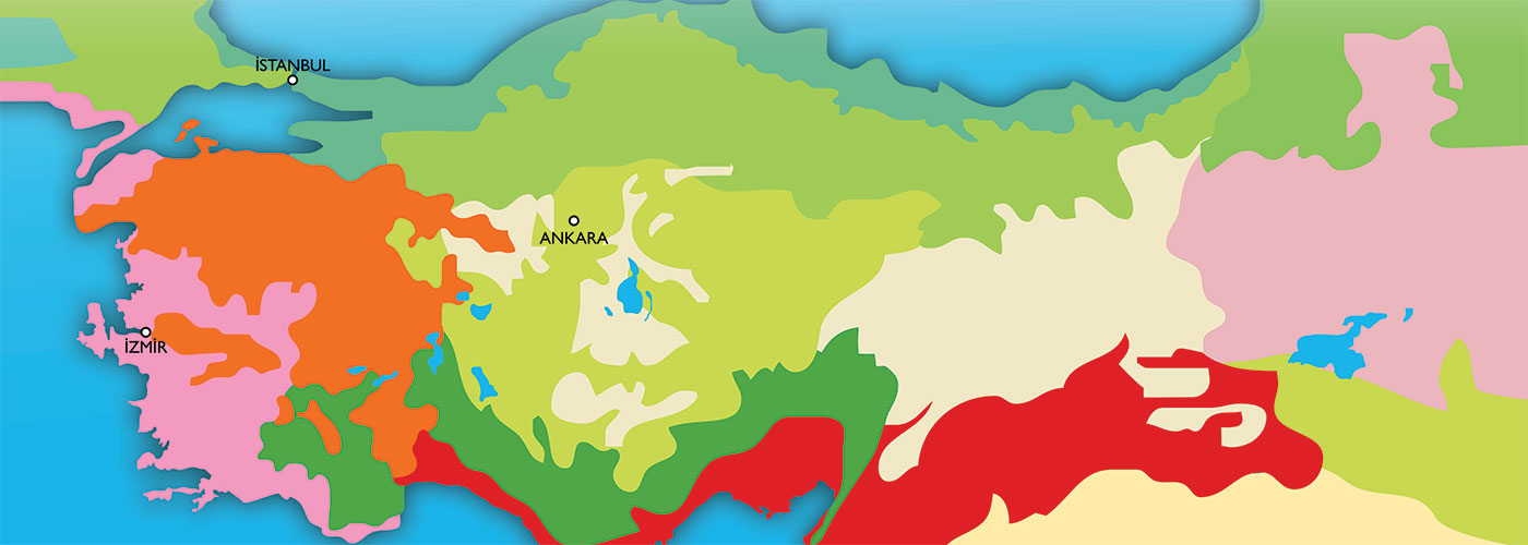 Wine Routes of Turkey – Barbaros 芭芭樂